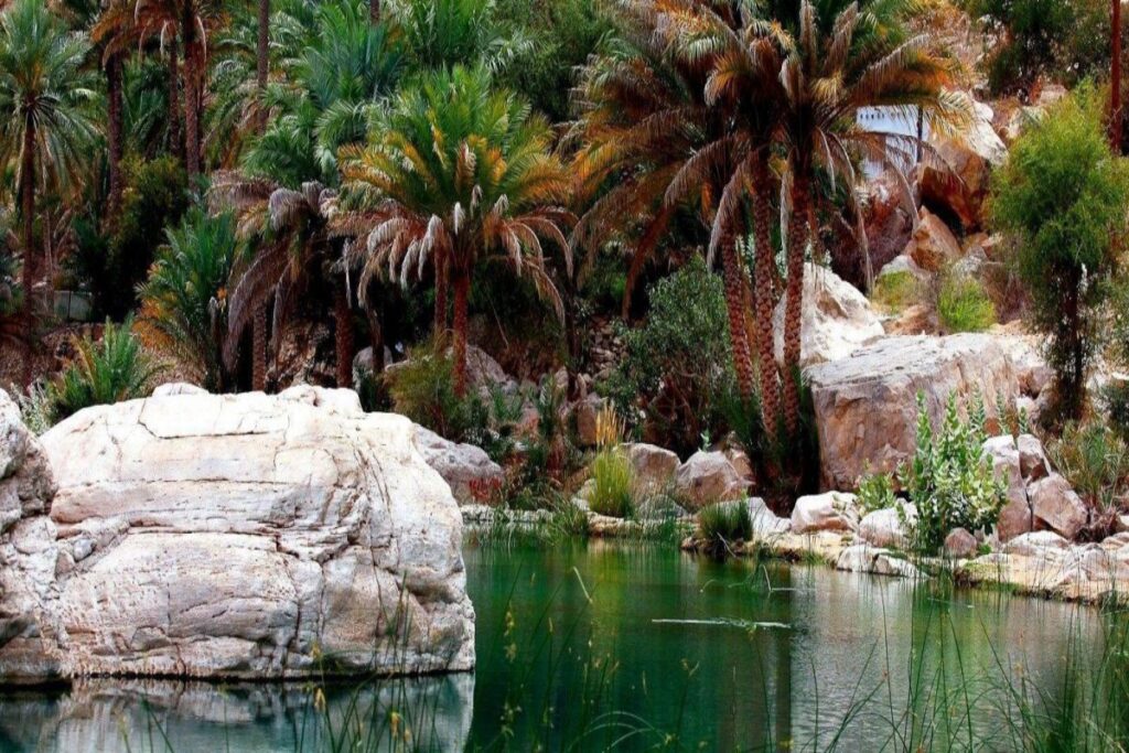 Oman Tours Details - Al Hashar Travels